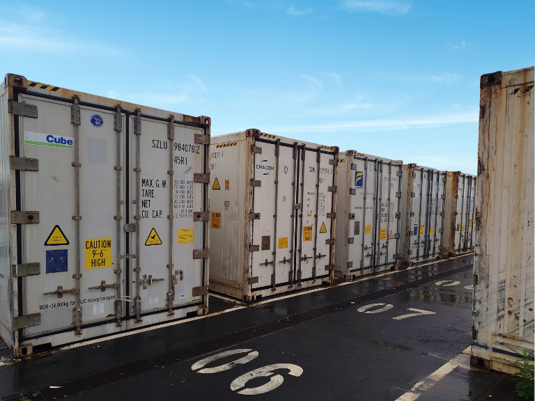 Reprise de l’activité de lavage de conteneurs reefer au TMM.